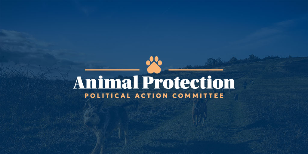 Animal Protection PAC